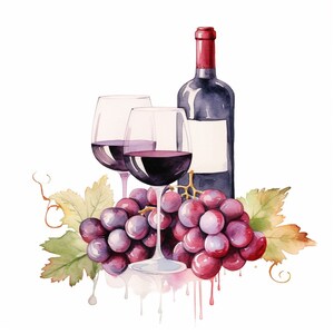 20 Wine Glass Bottle Watercolor Cocktail Grape Clipart Digital ...