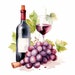 20 Wine Glass Bottle Watercolor Cocktail Grape Clipart Digital ...