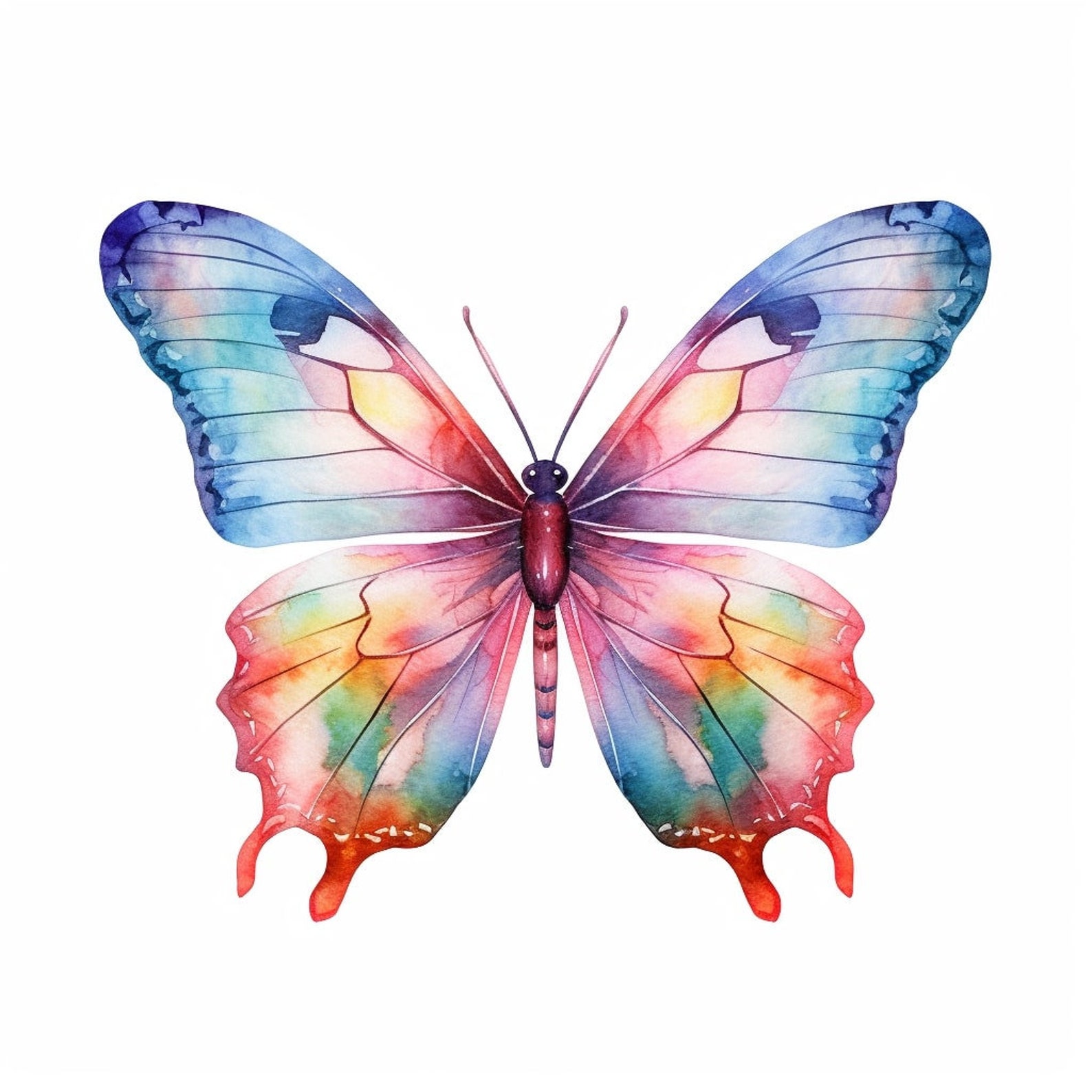 Watercolor Rainbow Butterfly Clipart 20 Printable High Quality Jpgs ...