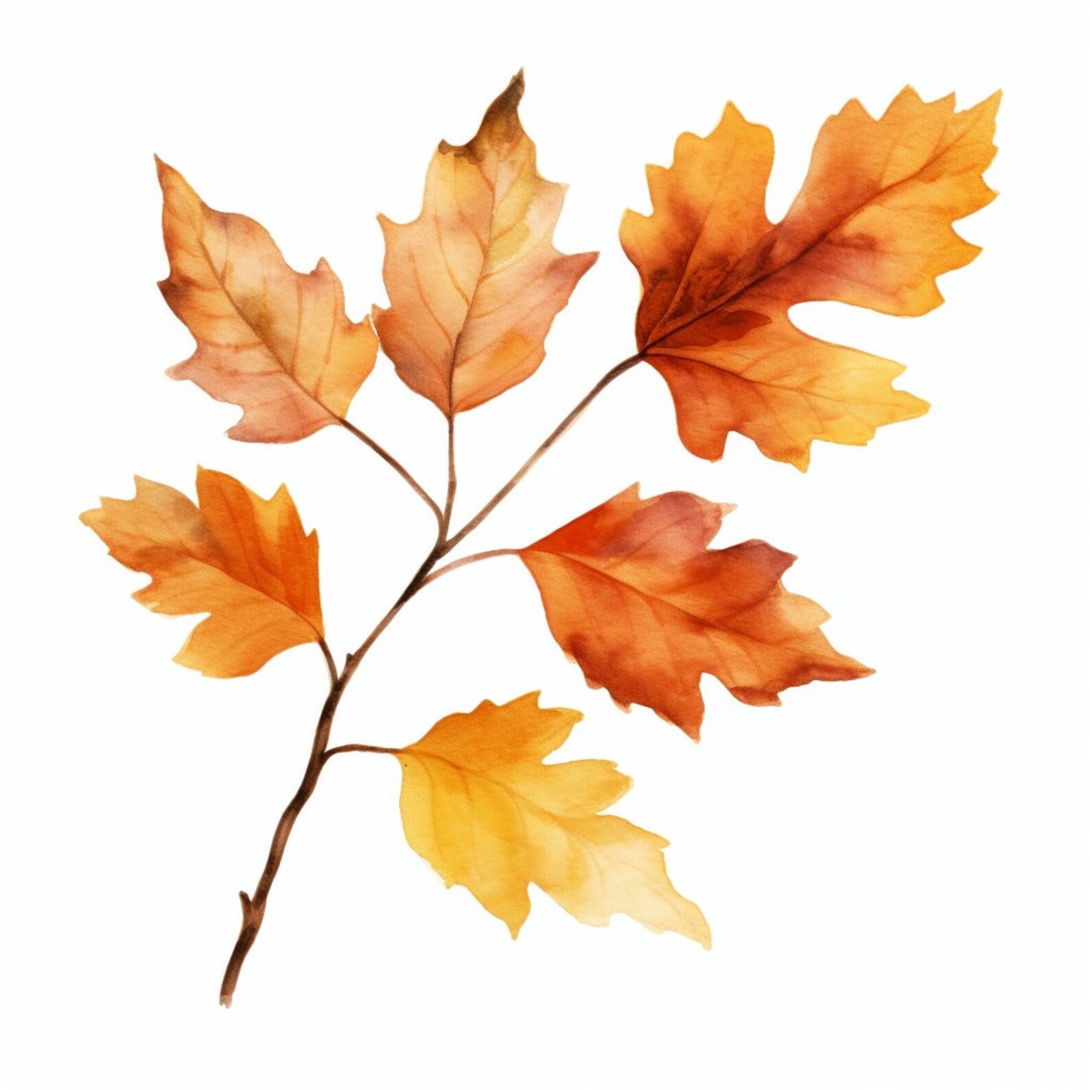 Watercolor Fall Leaf Clipart Art Printable 20 Digital Downloads - Etsy