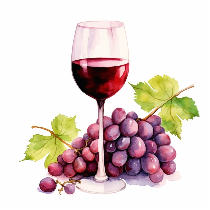 20 Wine Glass Bottle Watercolor Cocktail Grape Clipart Digital ...