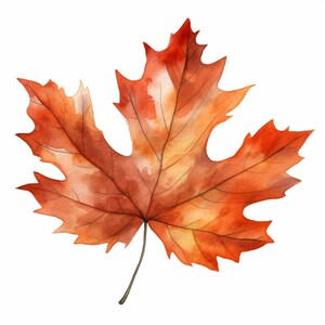 Watercolor Fall Leaf Clipart Art Printable 20 Digital Downloads - Etsy