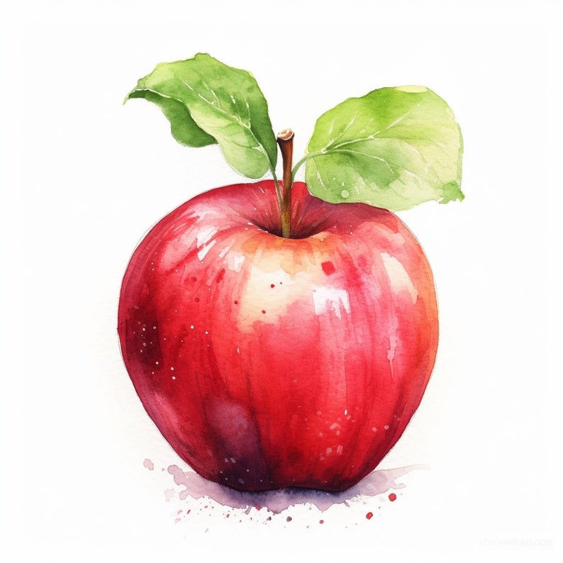 Watercolor Apple Clipart 20 Printable High Quality Jpgs Digital ...
