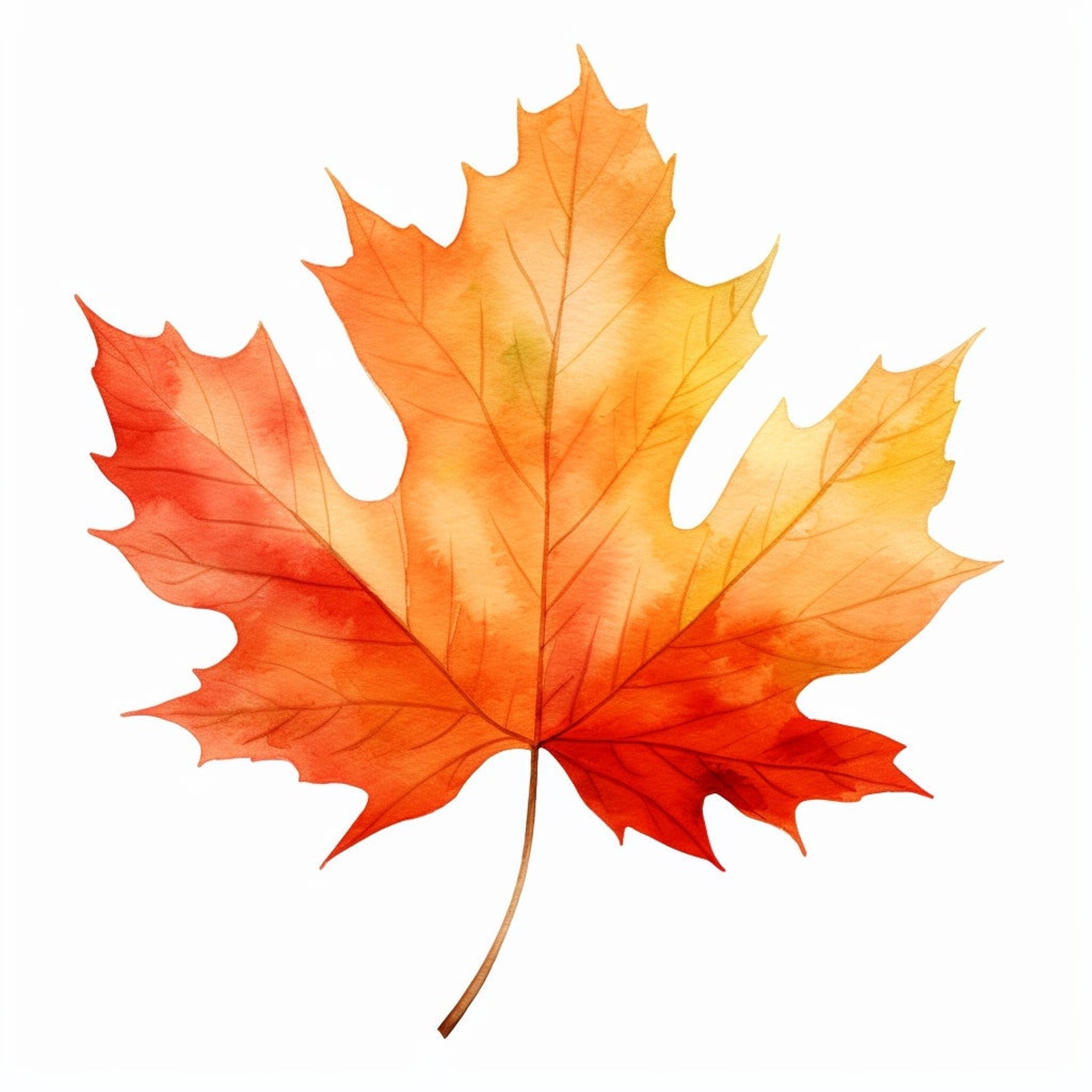 Aquarell Herbst Blatt Clipart Art Printable 20 digitale Downloads - Etsy.de