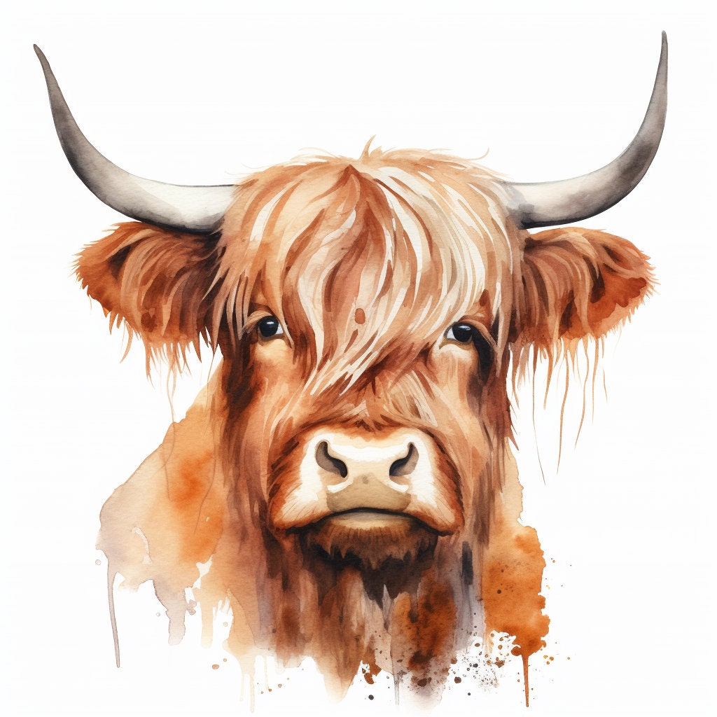 Watercolor Highland Cow Printable Clipart 20 Digital Downloads - Etsy