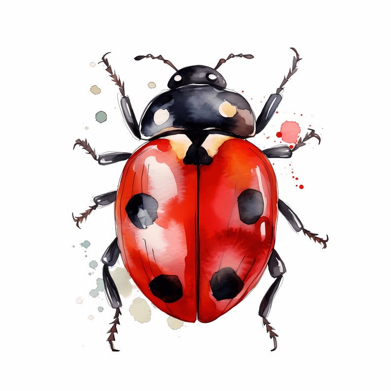 13 Watercolor Ladybug Clipart Images Digital Downloads - Etsy