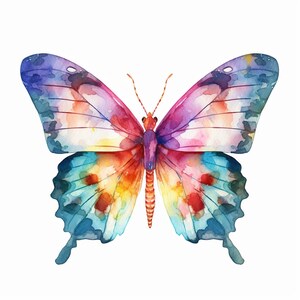Watercolor Rainbow Butterfly Clipart 20 Printable High Quality Jpgs ...