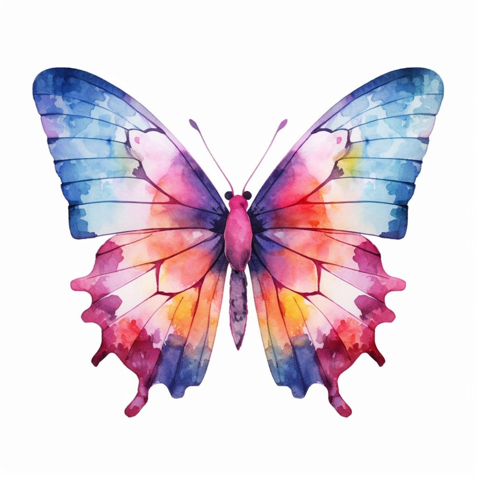 Watercolor Rainbow Butterfly Clipart 20 Printable High Quality Jpgs ...