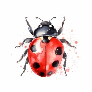 13 Watercolor Ladybug Clipart Images Digital Downloads - Etsy