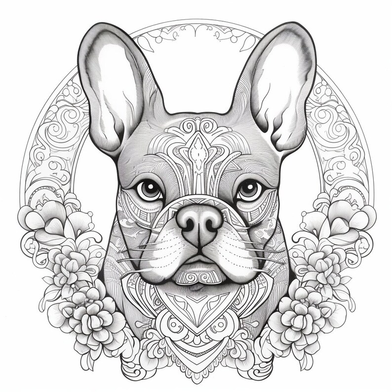 French Bulldog Adult Coloring Page Printable Frenchie Digital Downloads ...