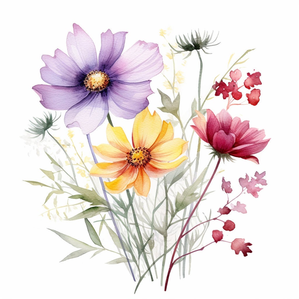 Wildflower Clipart Floral Watercolor Wild Flowers Floral Clipart ...