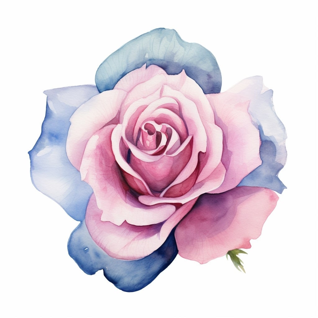Watercolor Rose Petal Clipart 20 Printable High Quality Jpgs Digital ...