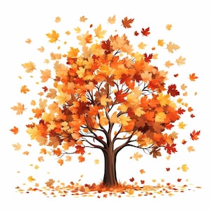 Fall Leaves Tree Autumn Clipart 20 Printable High Quality Jpgs Digital ...