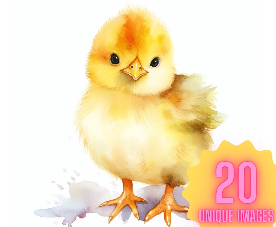 Watercolor Baby Chick Clipart Art Printable 20 High Quality Jpgs ...