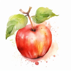 Watercolor Apple Clipart 20 Printable High Quality Jpgs Digital ...