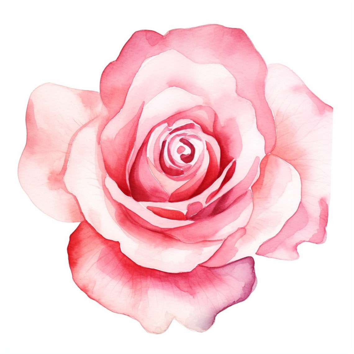 Watercolor Rose Petal Clipart 20 Printable High Quality Jpgs Digital ...