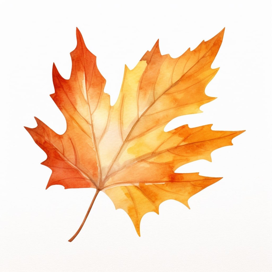 Aquarell Herbst Blatt Clipart Art Printable 20 digitale Downloads - Etsy.de