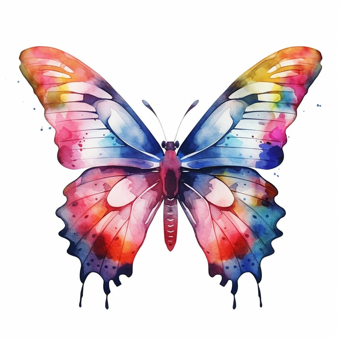 Watercolor Rainbow Butterfly Clipart 20 Printable High Quality Jpgs ...