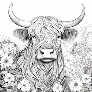 Floral Highland Cow Print Adult Coloring Page 50 Digital Downloads - Etsy