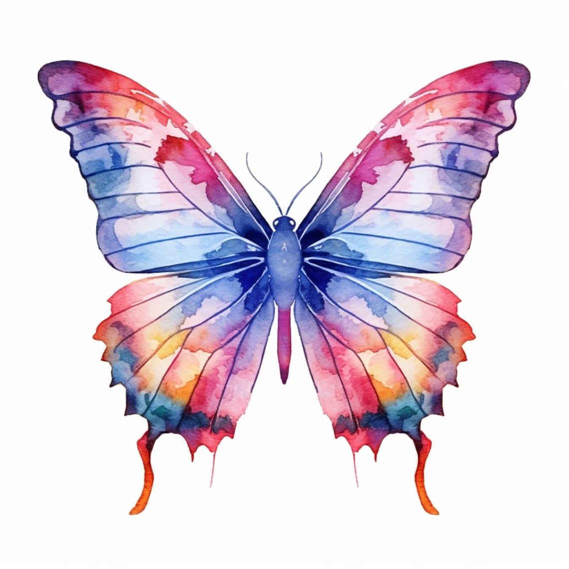 Watercolor Rainbow Butterfly Clipart 20 Printable High Quality Jpgs ...