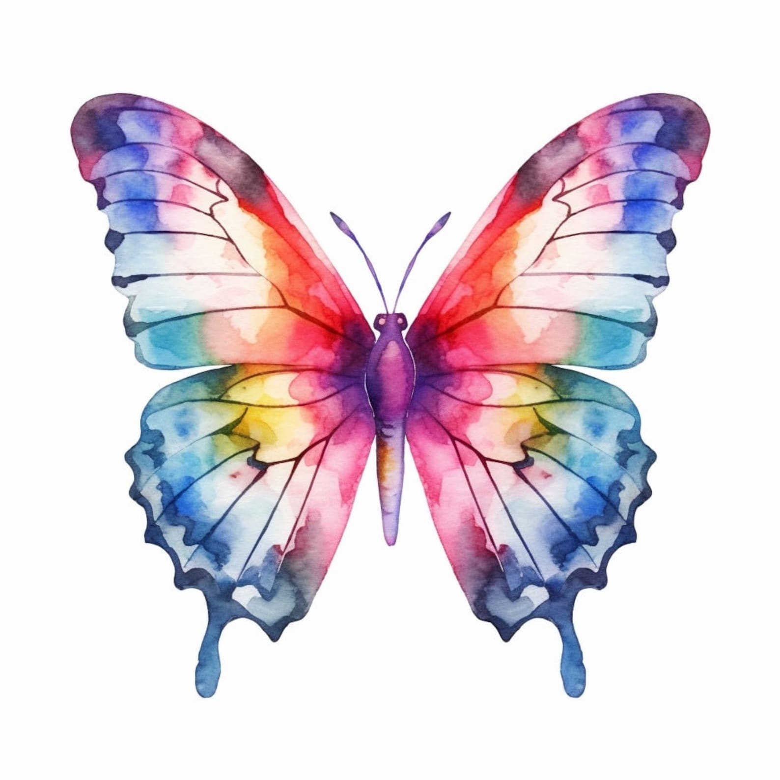 Watercolor Rainbow Butterfly Clipart 20 Printable High Quality Jpgs ...
