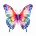 Watercolor Rainbow Butterfly Clipart 20 Printable High Quality Jpgs ...