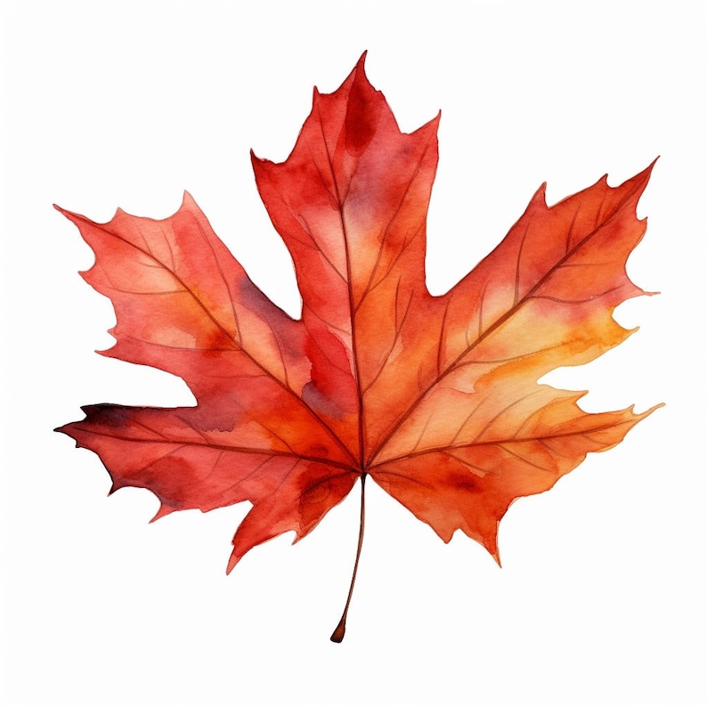 Watercolor Fall Leaf Clipart Art Printable 20 Digital Downloads - Etsy