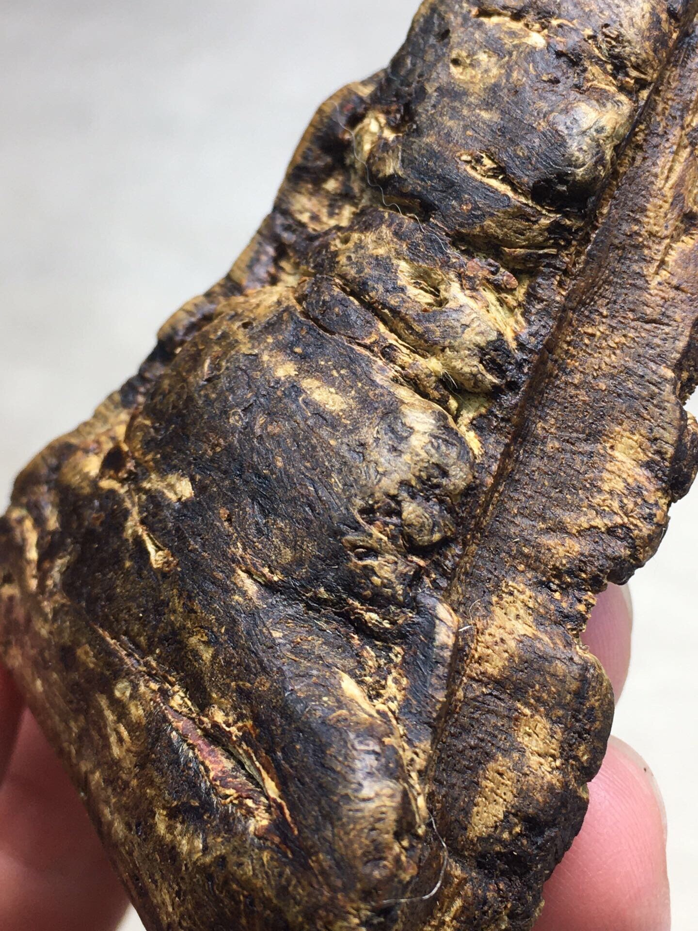 Vietnam Nha Trang Incense Wood Pendant Insect Leakage King A Grade ...