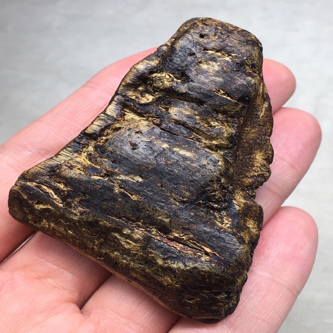 Vietnam Nha Trang Incense Wood Pendant Insect Leakage King A Grade ...