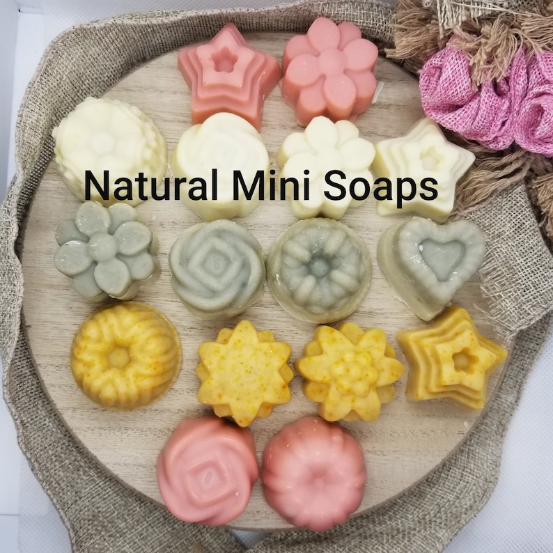Mini Soap Twin Pack, Small Soap Bundle, Travel Size, Vegan, Natural ...