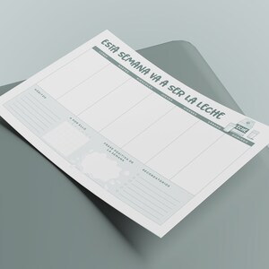 Printable Weekly Planner / PDF Weekly Planner / Downloadable Weekly ...