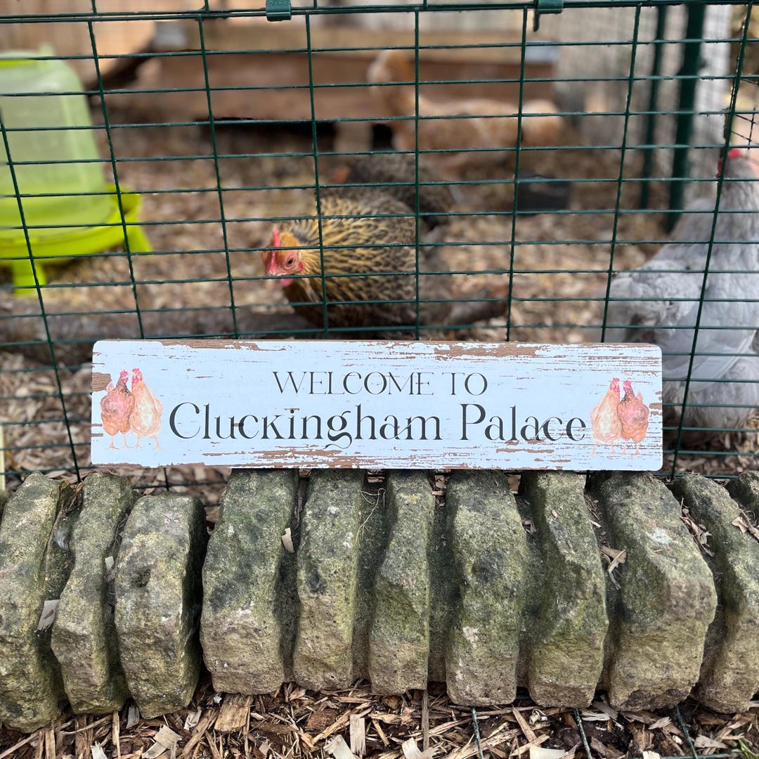 Chicken Welcome Sign, Gift for Chicken Keepers, Cluckingham Palace, Hen ...