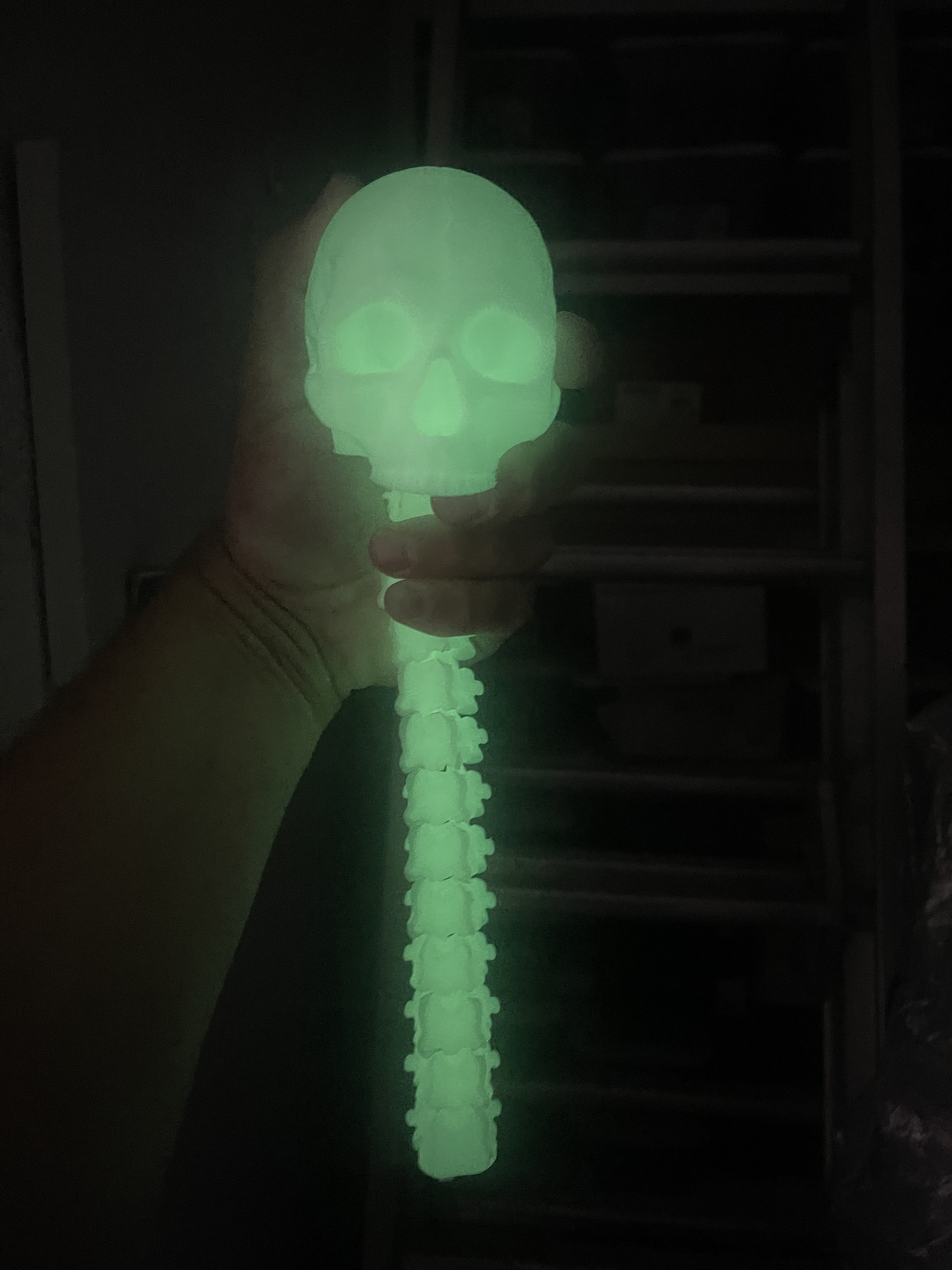 Skull Toy 3D Printed - Articulated Skull & Spine Model - Educational ...