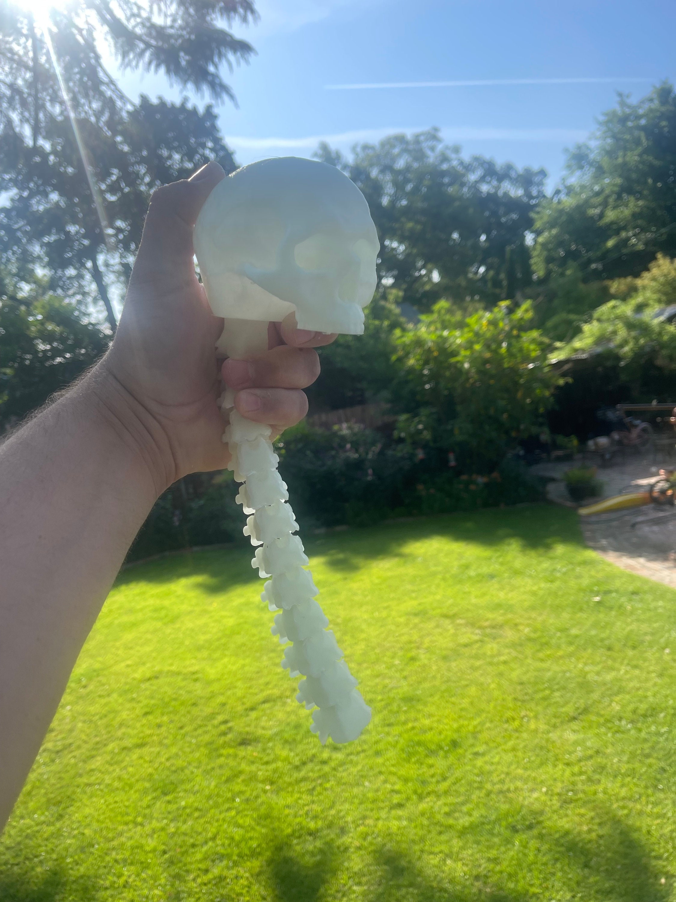 Skull Toy 3D Printed - Articulated Skull & Spine Model - Educational ...