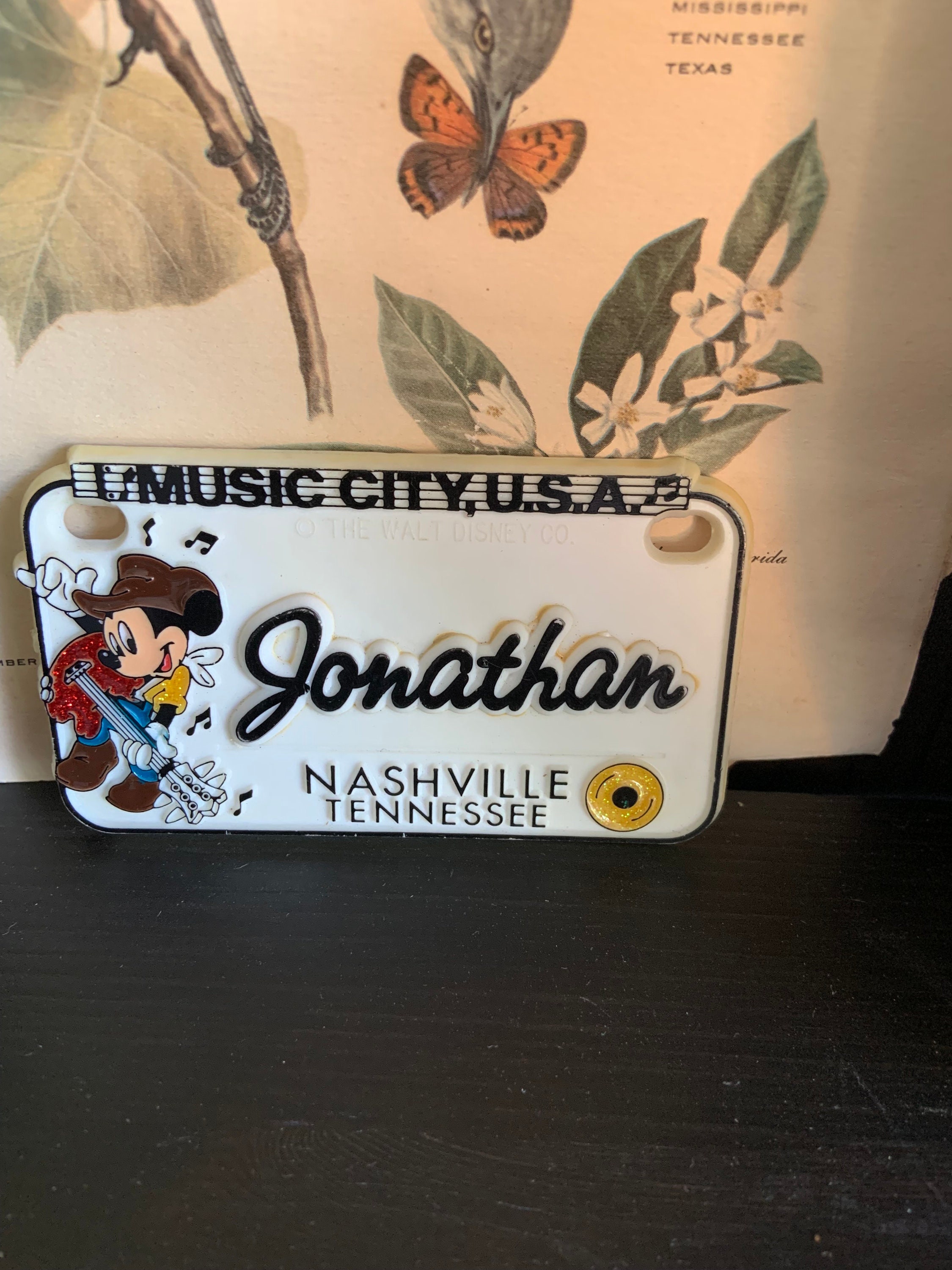 Disney Mickey Mouse Nashville Miniature Plastic License Plate Souvenir ...