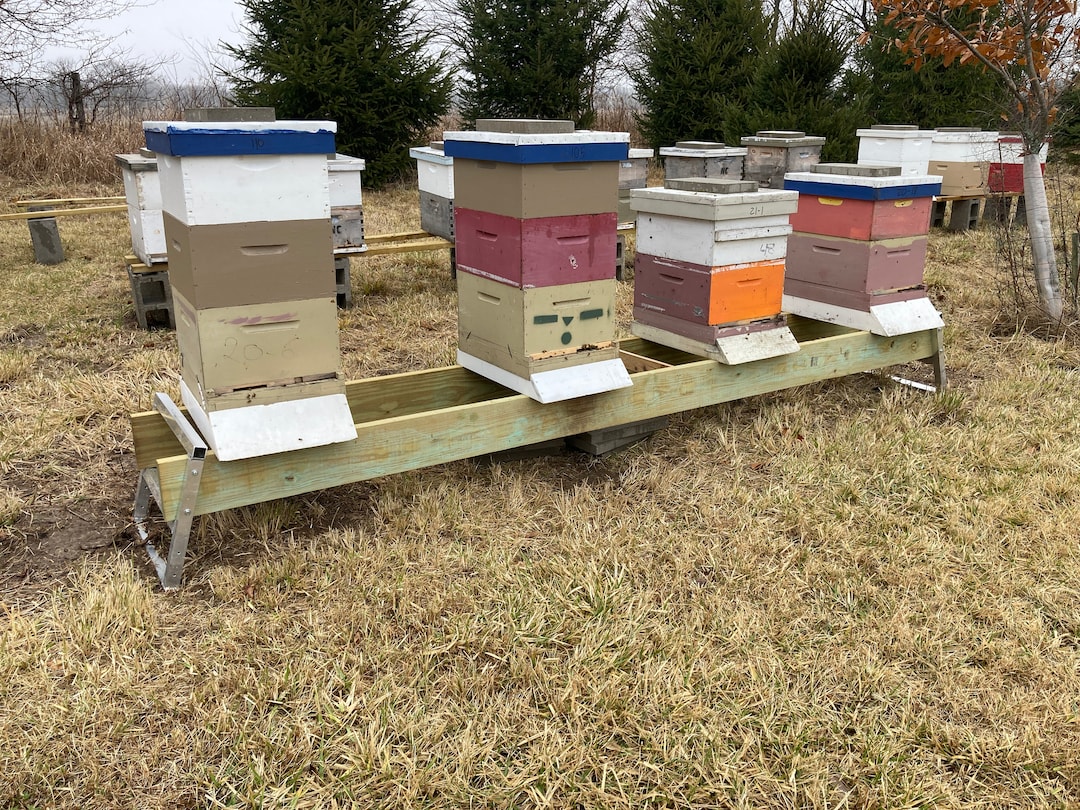 EZB Hive Stand - Etsy