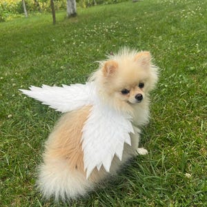 White Angel Wings for Pets - Perfect for Dogs and Cats, Costume ...