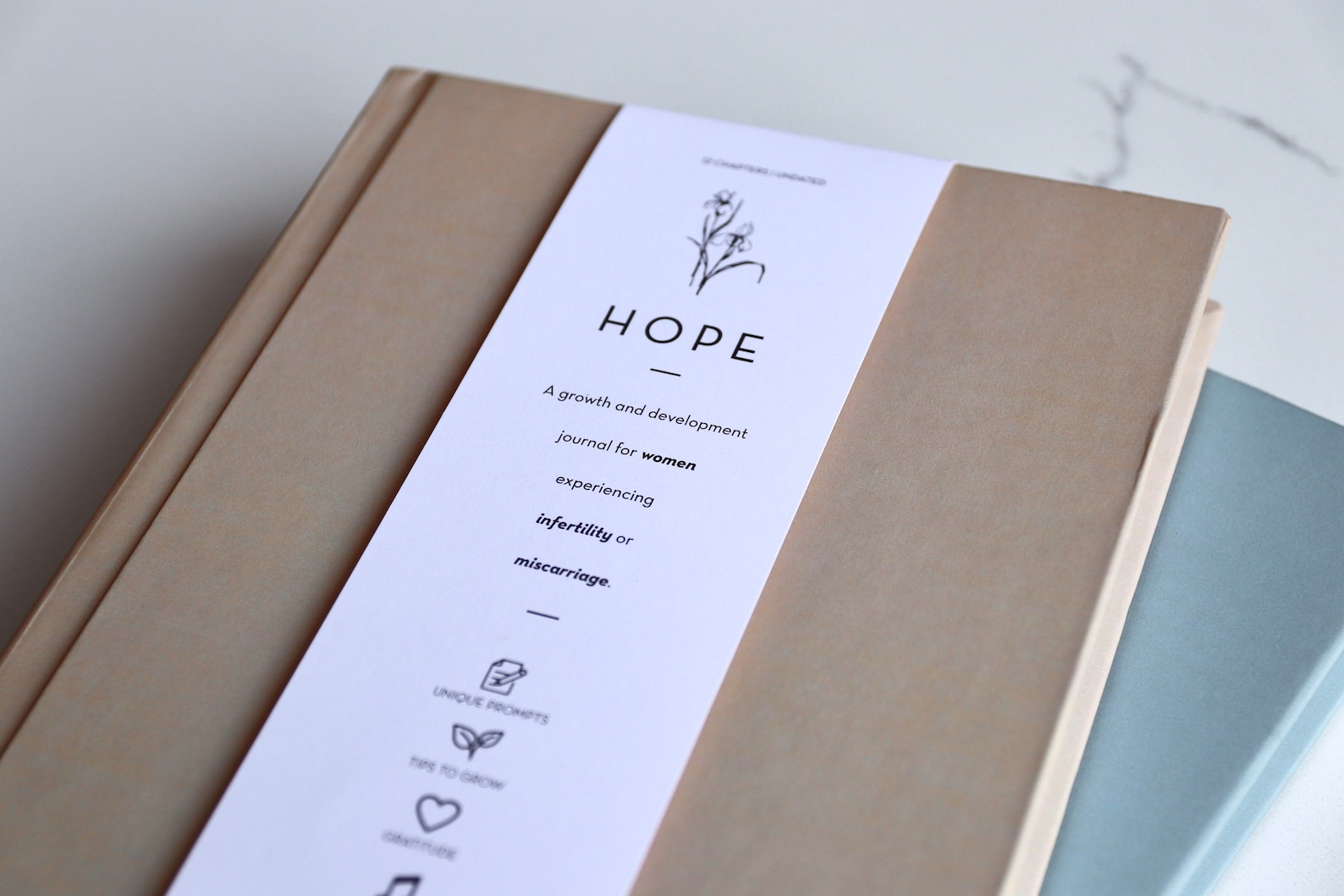 Infertility Journal for Women - Etsy