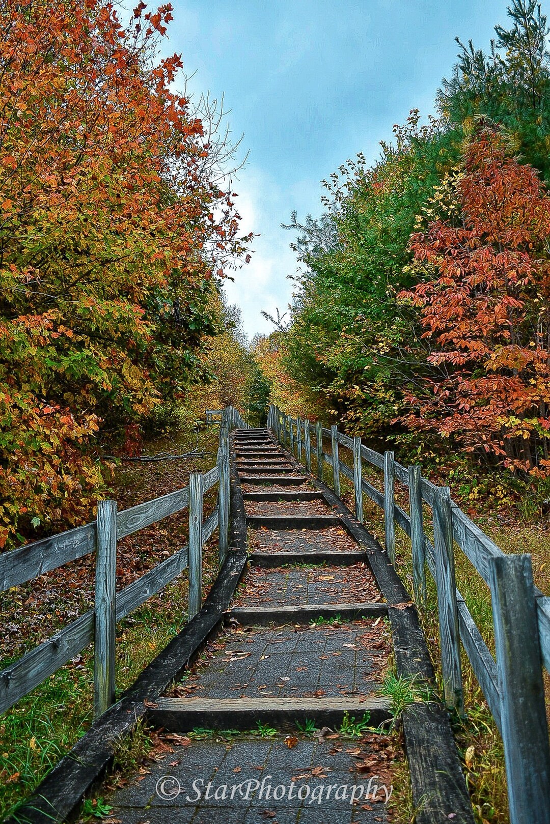 Digital Download - A Fall Day in Tennessee - Digital Prints - Fall ...
