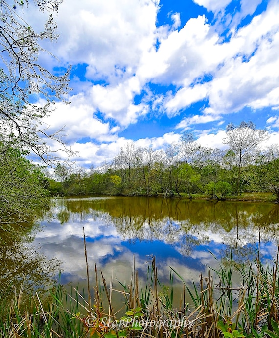 A Day at the Erwin Linear Trail - Etsy