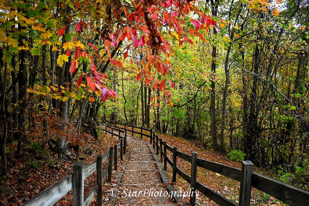 Fall Hike Photography – Blue Ridge Mountains, East Tennessee (digital ...
