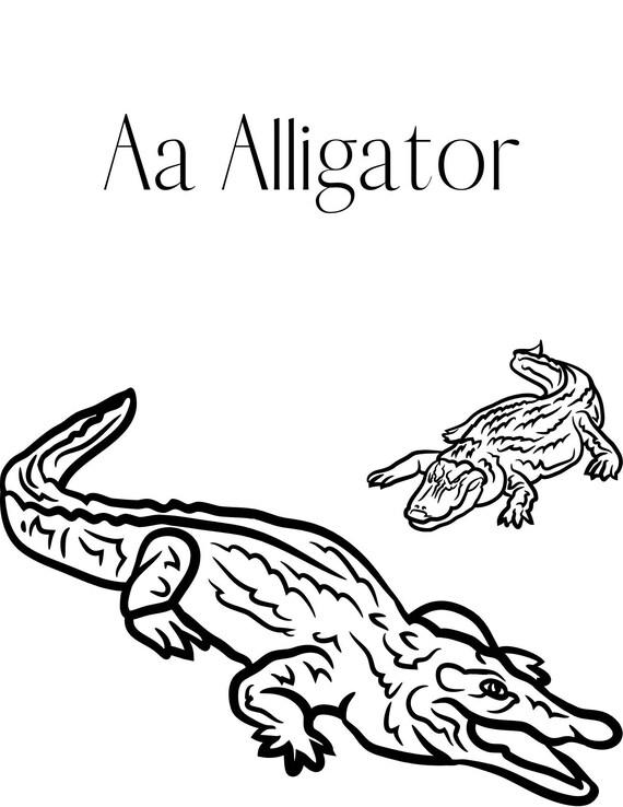 Alligator Coloring Pages Preschool