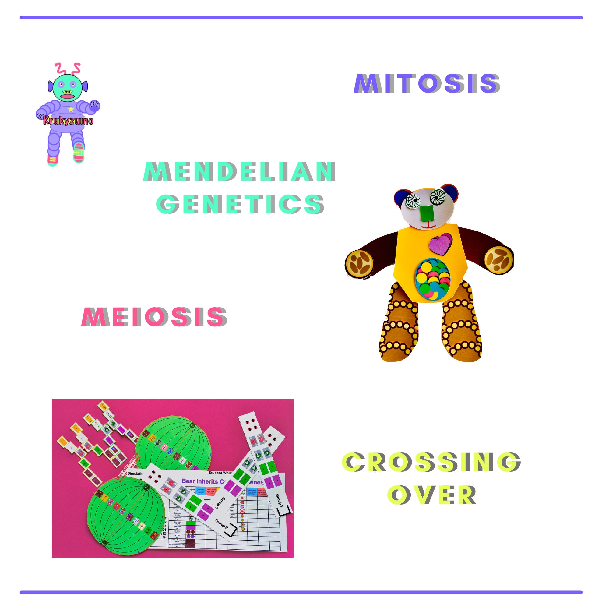 Mitosis Flip Book 25