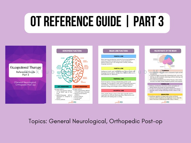OT Reference Guide Part 3 for OT Students, Fieldwork and Practicing ...