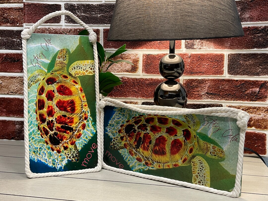 Sea Turtle Wall Art, Sea Turtle Ology, Turtle Beach Home Decor, Turtle ...