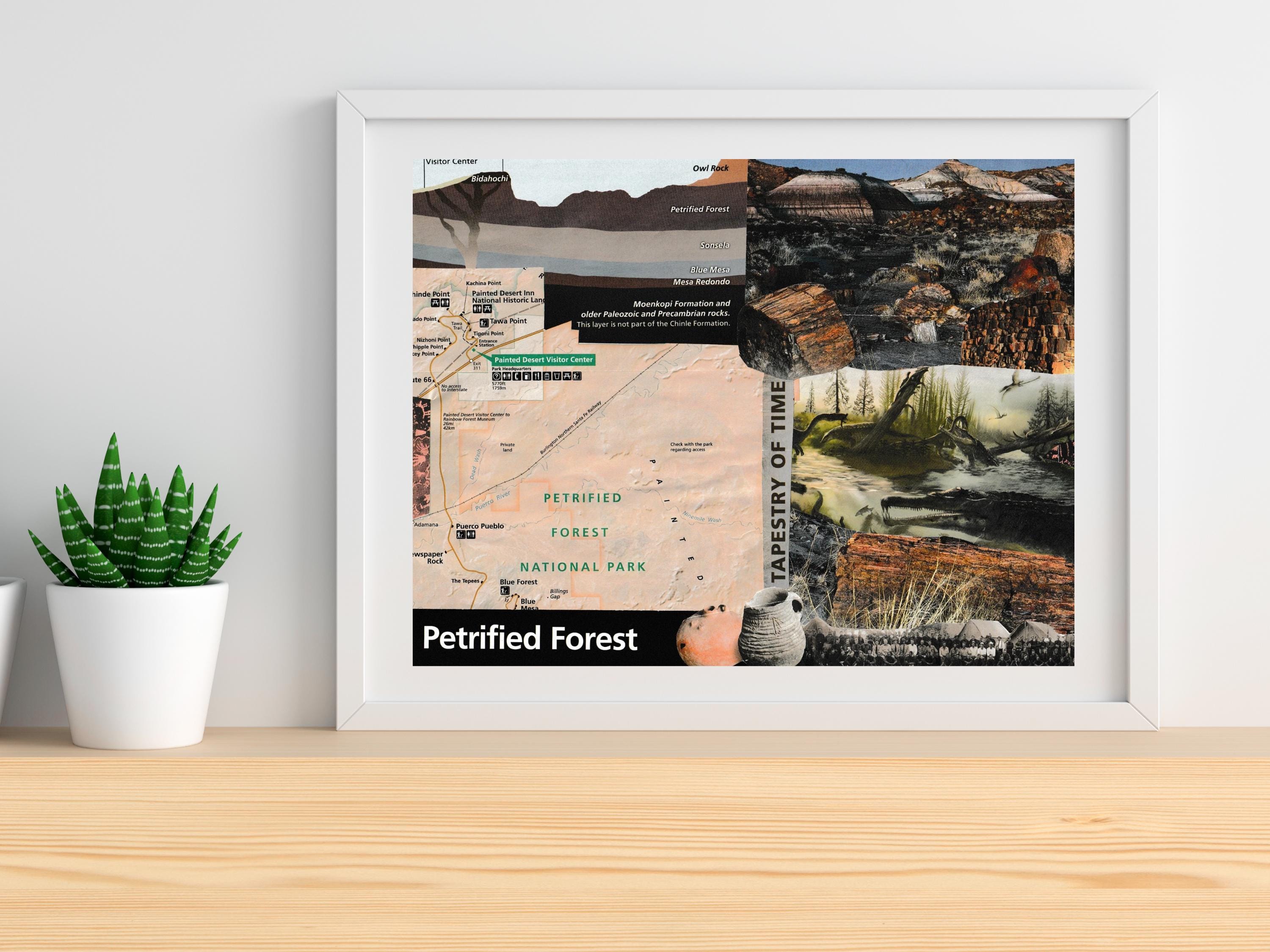 Petrified Forest National Park Map Collage Print by Nomad.ishhh | 10x8 ...