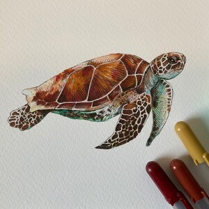 HAND DRAWN Turtle Art Print - Etsy