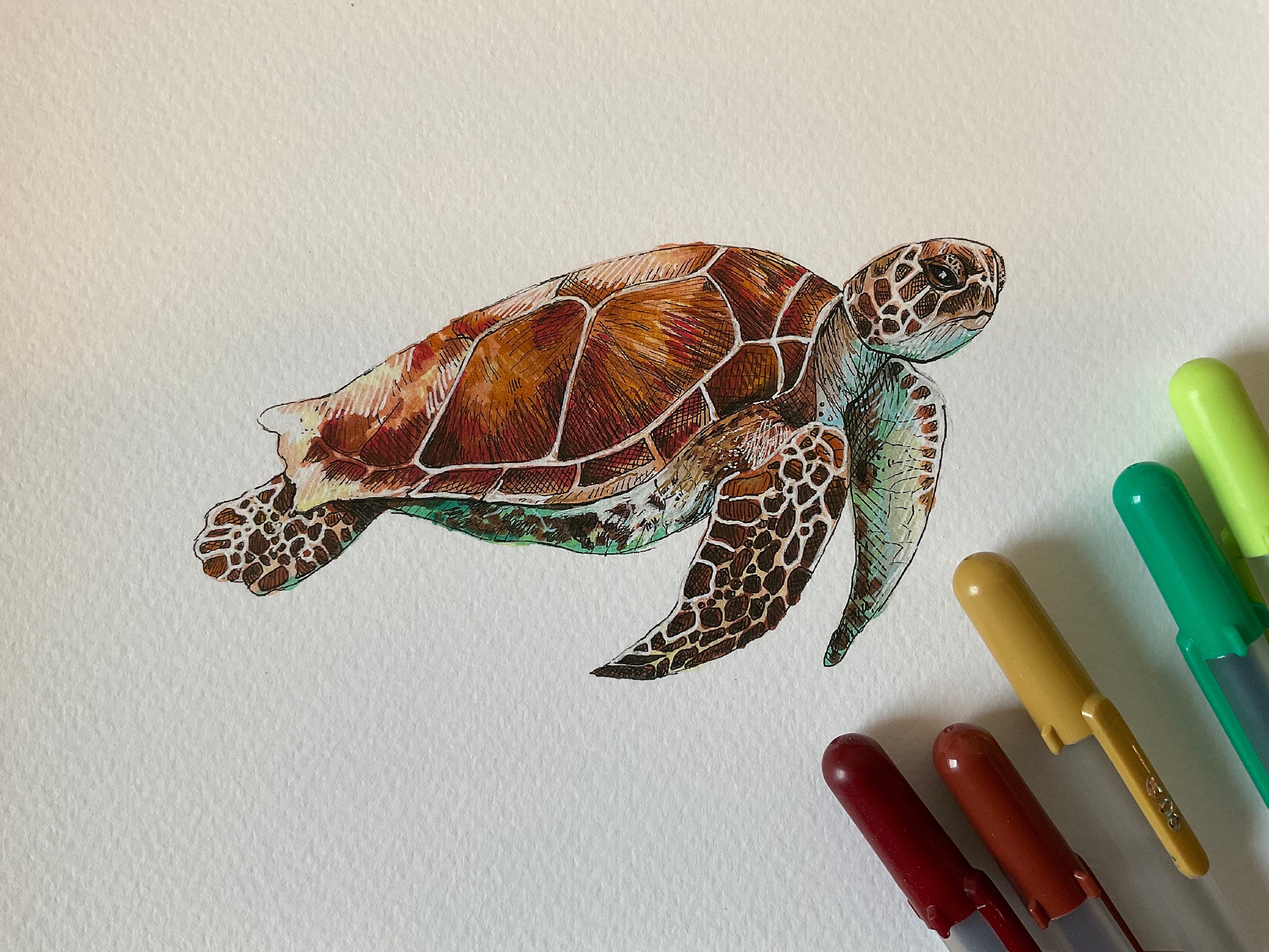 HAND DRAWN Turtle Art Print - Etsy