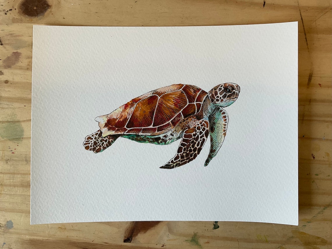 HAND DRAWN Turtle Art Print - Etsy