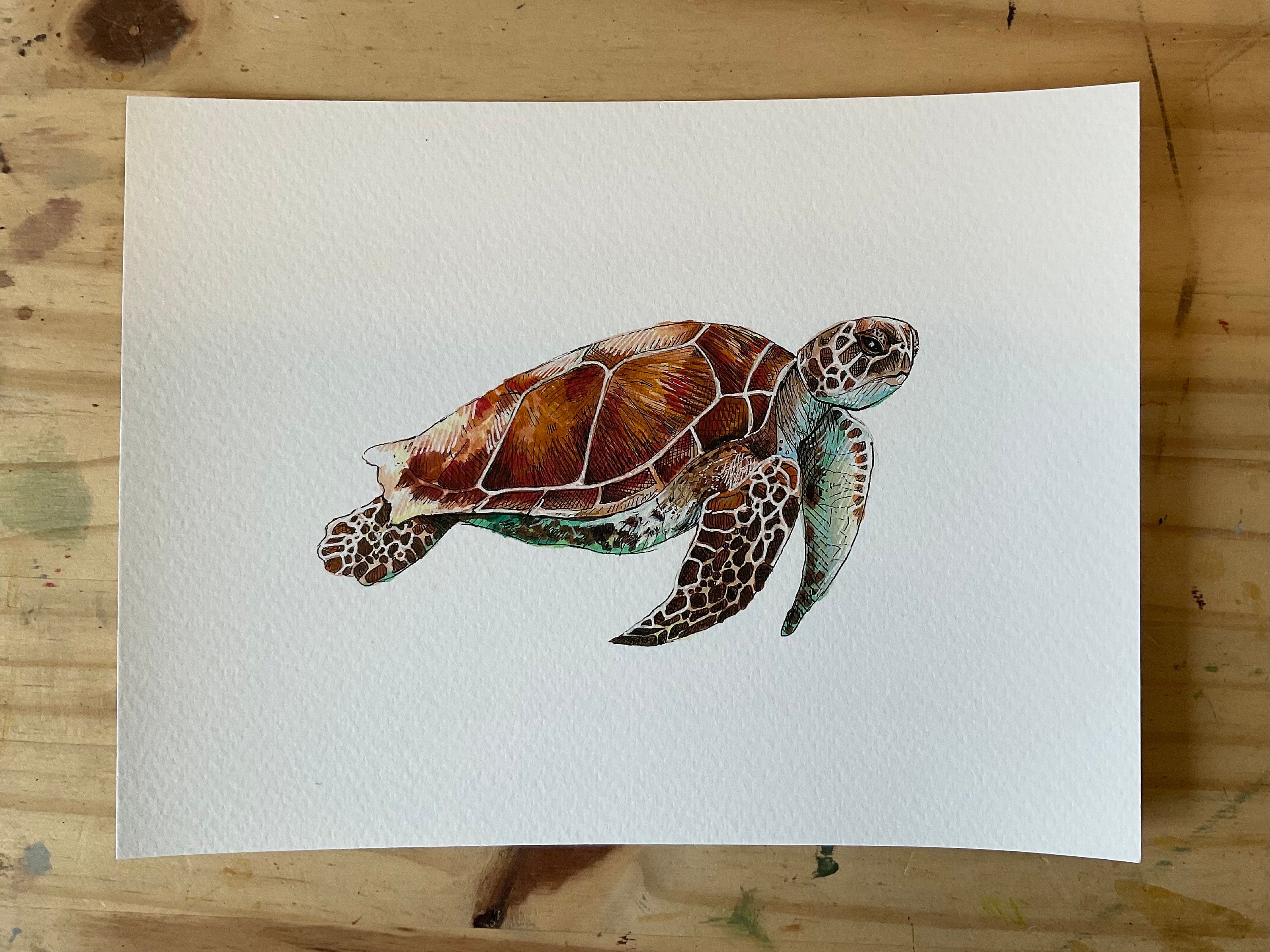 HAND DRAWN Turtle Art Print - Etsy